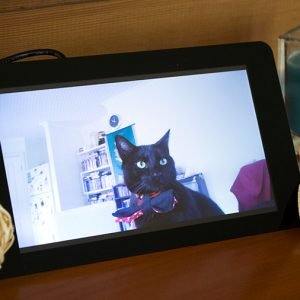 How to Setup a Raspberry Pi Caddy Web Server - Pi My Life Up