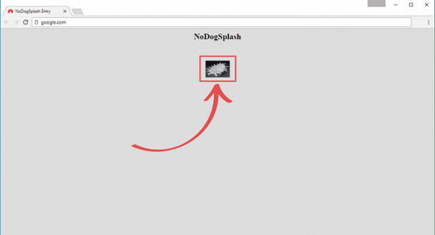 Setting Up A Raspberry Pi Captive Portal Pi My Life Up