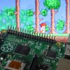 Running a Terraria Server on Linux - Pi My Life Up