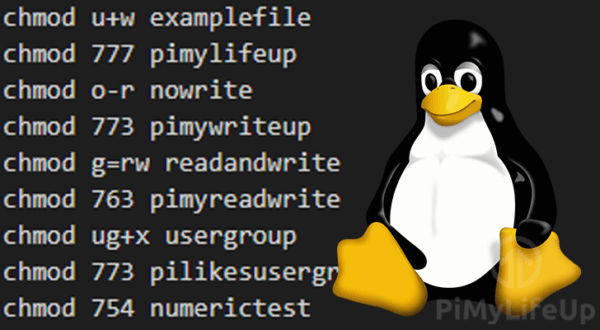 The Basics of the chmod Command - Pi My Life Up