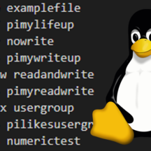 Using the hostname Command - Pi My Life Up