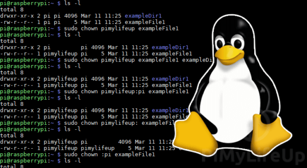 The Basics of the chown Command - Pi My Life Up