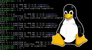 Using the cd Command - Pi My Life Up