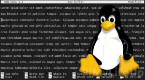 Guide to the nano Text Editor - Pi My Life Up