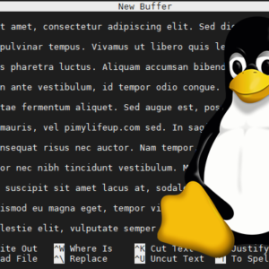 Comparing Files on Linux using the diff command in the Terminal - Pi My Life Up
