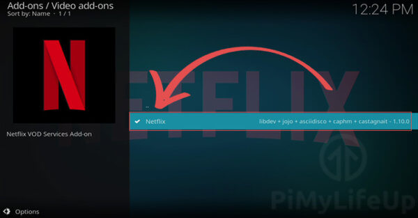 Watching Netflix on Kodi - Pi My Life Up