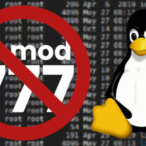 Learn How to Run AdGuard Home using Docker - Pi My Life Up