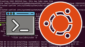 How to Enable Wayland on Ubuntu - Pi My Life Up