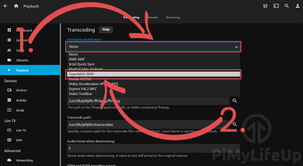 Installing Jellyfin to the Raspberry Pi - Pi My Life Up