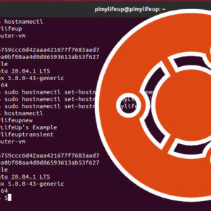 How to use the Task Manager on Ubuntu - Pi My Life Up