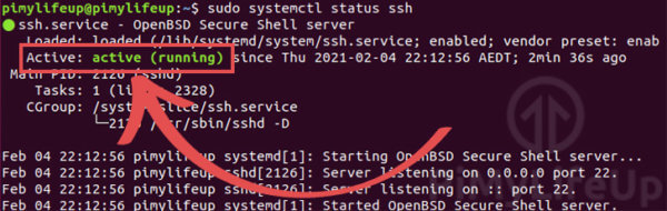How to Enable SSH on Ubuntu - Pi My Life Up