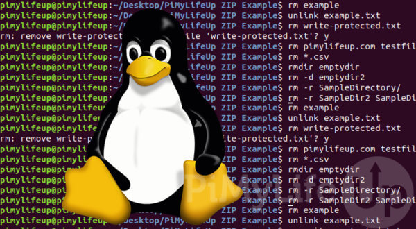 How To Delete A File Or Directory On Linux Pi My Life Up