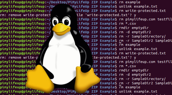 The Basics of File Permissions in Linux - Pi My Life Up