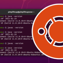 How to Check Disk Space on Ubuntu - Pi My Life Up
