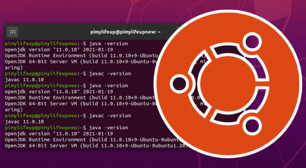Setting Up A Web Kiosk On Ubuntu Using Chromium Pi My Life Up