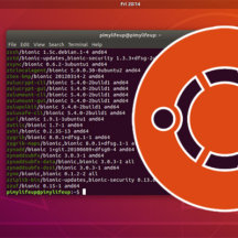 How to Search for Packages on Ubuntu - Pi My Life Up