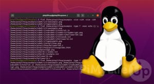 Searching for Files on Linux using the find Command - Pi My Life Up