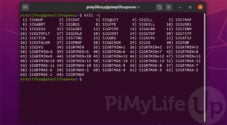 How to Kill a Process on Linux - Pi My Life Up