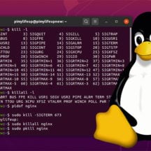 Find and Kill a Process Using a Port on Linux - Pi My Life Up