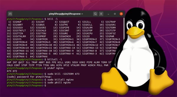 How to kill a process on Ubuntu - Pi My Life Up