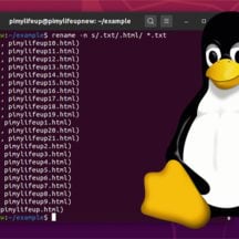 How to Encode or Decode a base64 String on Linux - Pi My Life Up