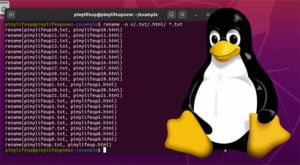 How to Encode or Decode a base64 String on Linux - Pi My Life Up
