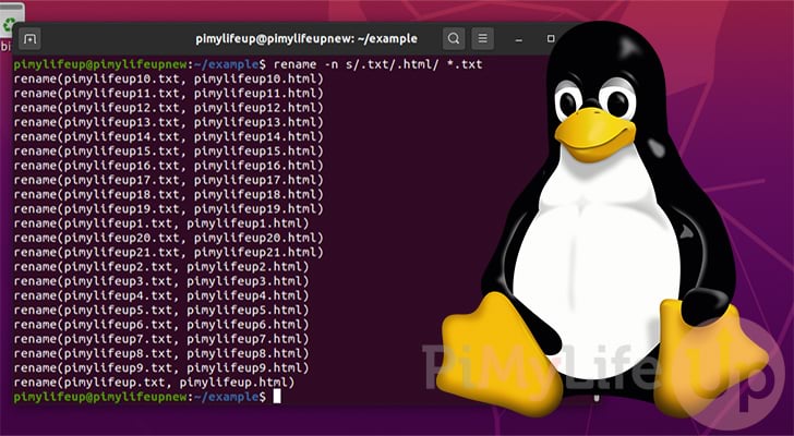 How To Rename A File Or Directory On Linux Pi My Life Up