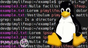 How to use the grep Command - Pi My Life Up