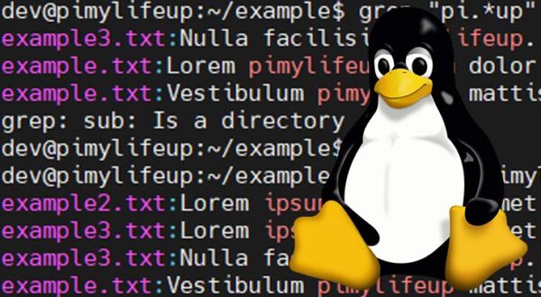 Searching for Files on Linux using the find Command - Pi My Life Up