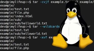 Using the userdel Command in Linux to Remove Users - Pi My Life Up