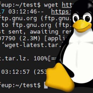 How to use the tree Command on Linux - Pi My Life Up