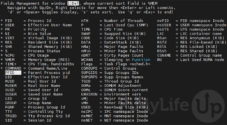 Using the top Command on Linux - Pi My Life Up
