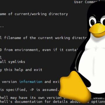 Using the fg Command on Linux - Pi My Life Up
