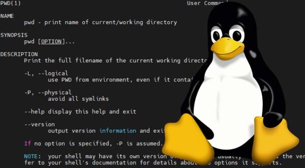 Searching for Files on Linux using the find Command - Pi My Life Up