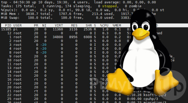 Using the top Command on Linux - Pi My Life Up