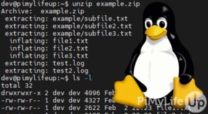 How to use the unzip Command - Pi My Life Up