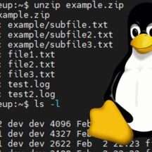 The Basics of the chown Command - Pi My Life Up