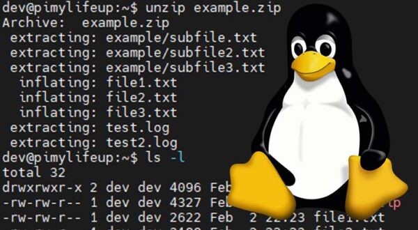 How To Use The Usermod Command In Linux Pi My Life Up
