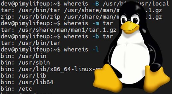 How To Use The Bg Command On Linux Pi My Life Up
