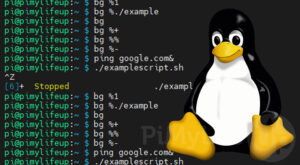 How to use the bg Command on Linux - Pi My Life Up