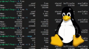 How to Encode or Decode a base64 String on Linux - Pi My Life Up
