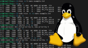 How to use the bg Command on Linux - Pi My Life Up