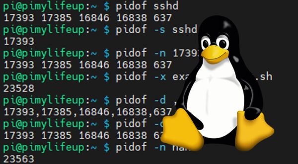 Using the fg Command on Linux - Pi My Life Up
