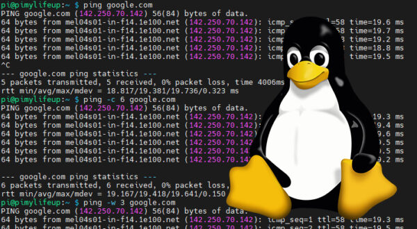 How to use the df command in Linux - Pi My Life Up