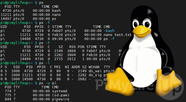 How to Use the ps Command on Linux - Pi My Life Up
