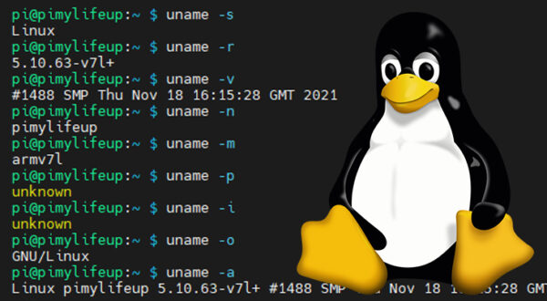Using The Timedatectl Command To Control Your Systems Time Pi My Life Up 