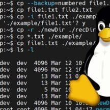 The mkdir Command on Linux - Pi My Life Up