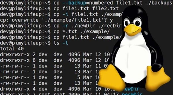The mkdir Command on Linux - Pi My Life Up