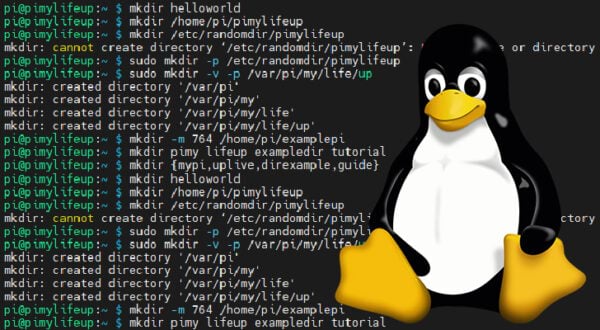 How to Use the pwd Command on Linux - Pi My Life Up