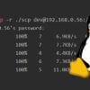 How to use the tree Command on Linux - Pi My Life Up
